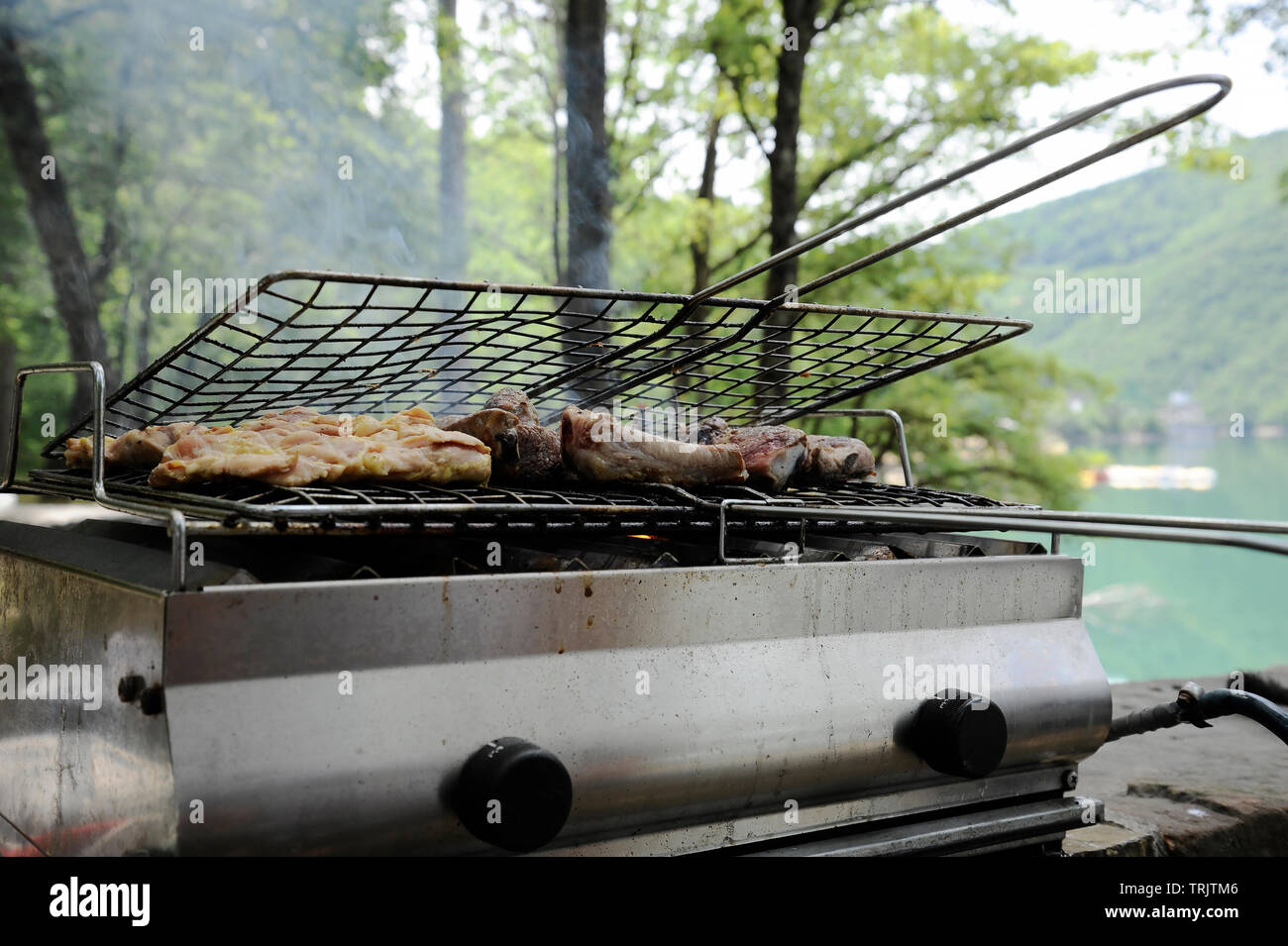 Meat grilled on the barbecue grill. Dinner picnic party concept ...
