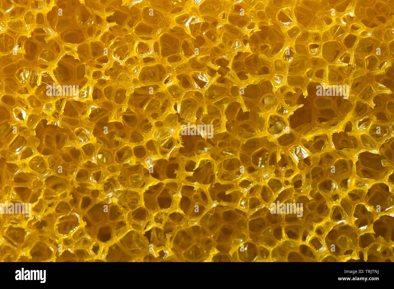 abstract yellow sponge texture background Stock Photo - Alamy
