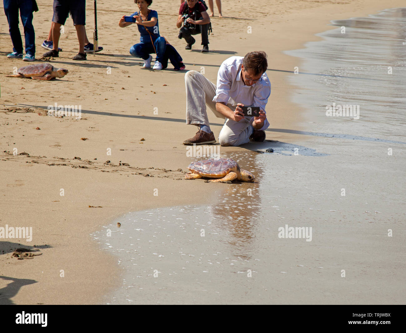Species recovery hi-res stock photography and images - Alamy