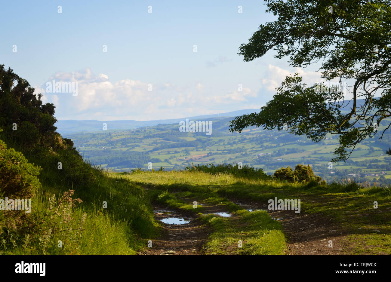 Welsh landscape photograph of the Clwydian Range of mountains in North ...