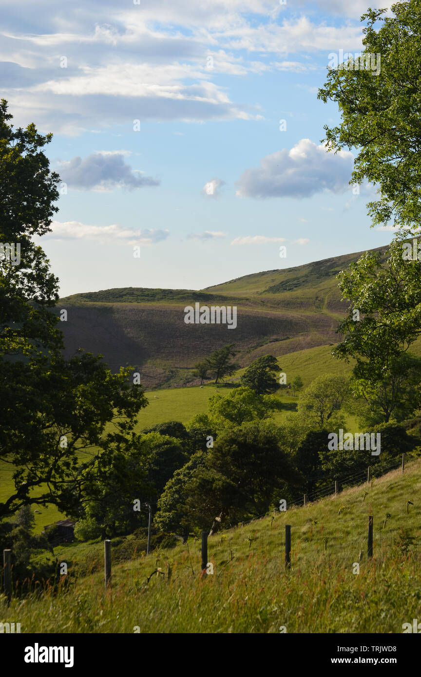 Welsh landscape photograph of the Clwydian Range of mountains in North ...