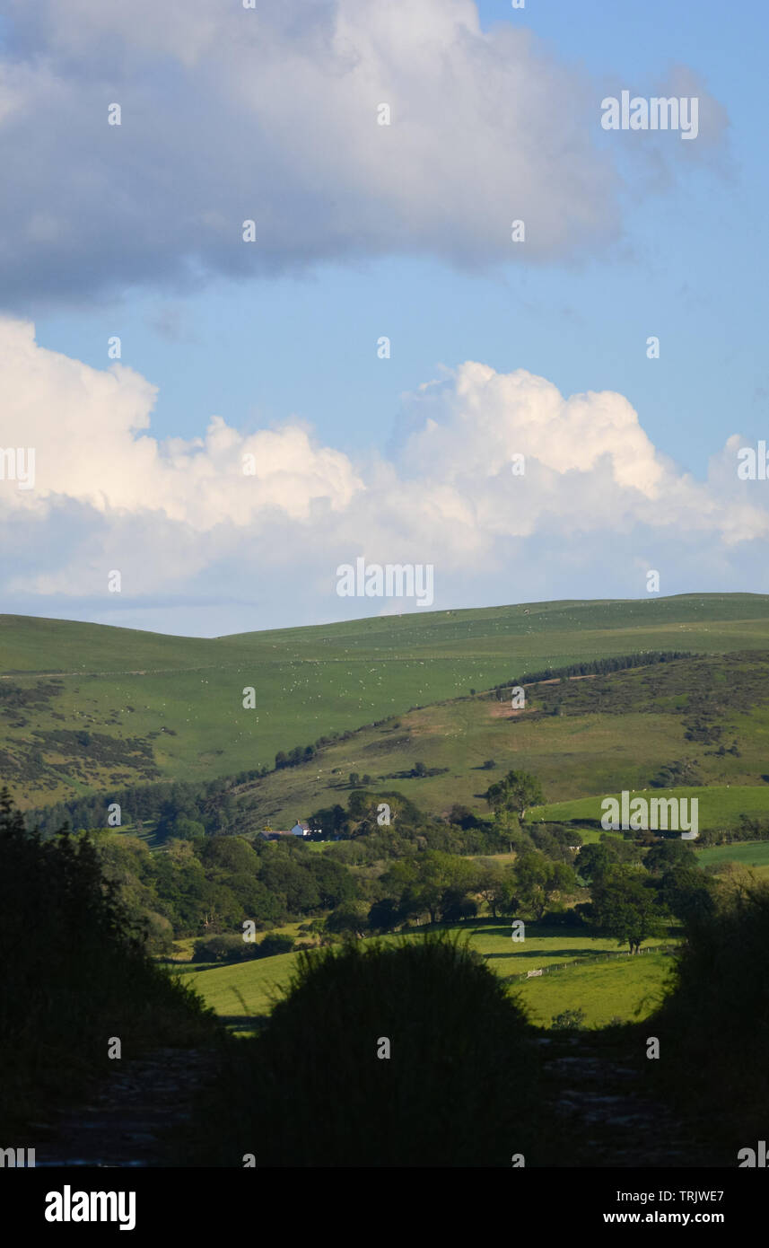 Welsh landscape photograph of the Clwydian Range of mountains in North ...