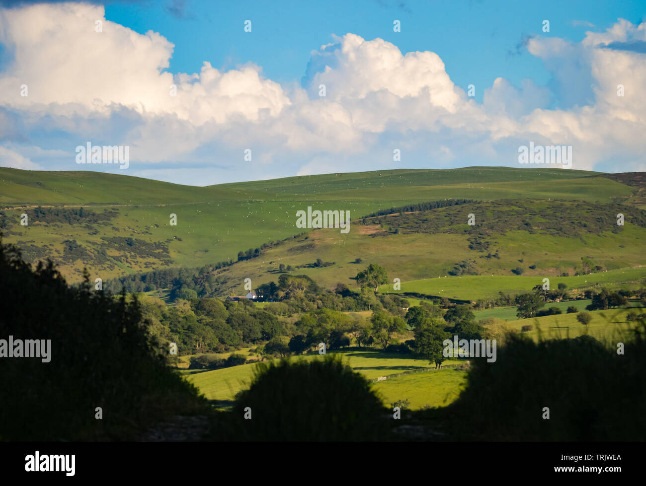 Welsh landscape photograph of the Clwydian Range of mountains in North ...