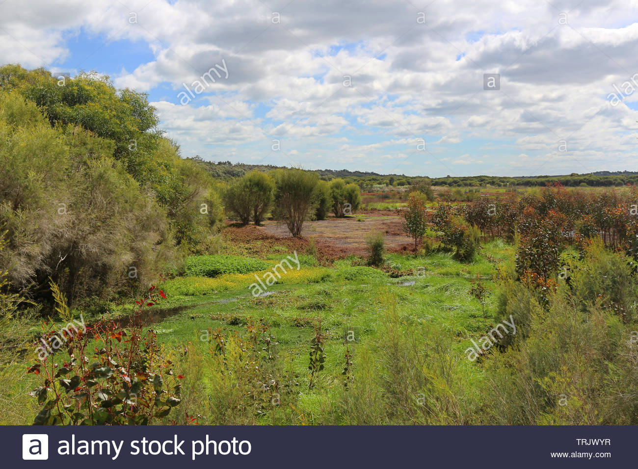 Yanchep Western Australia High Resolution Stock Photography and Images ...