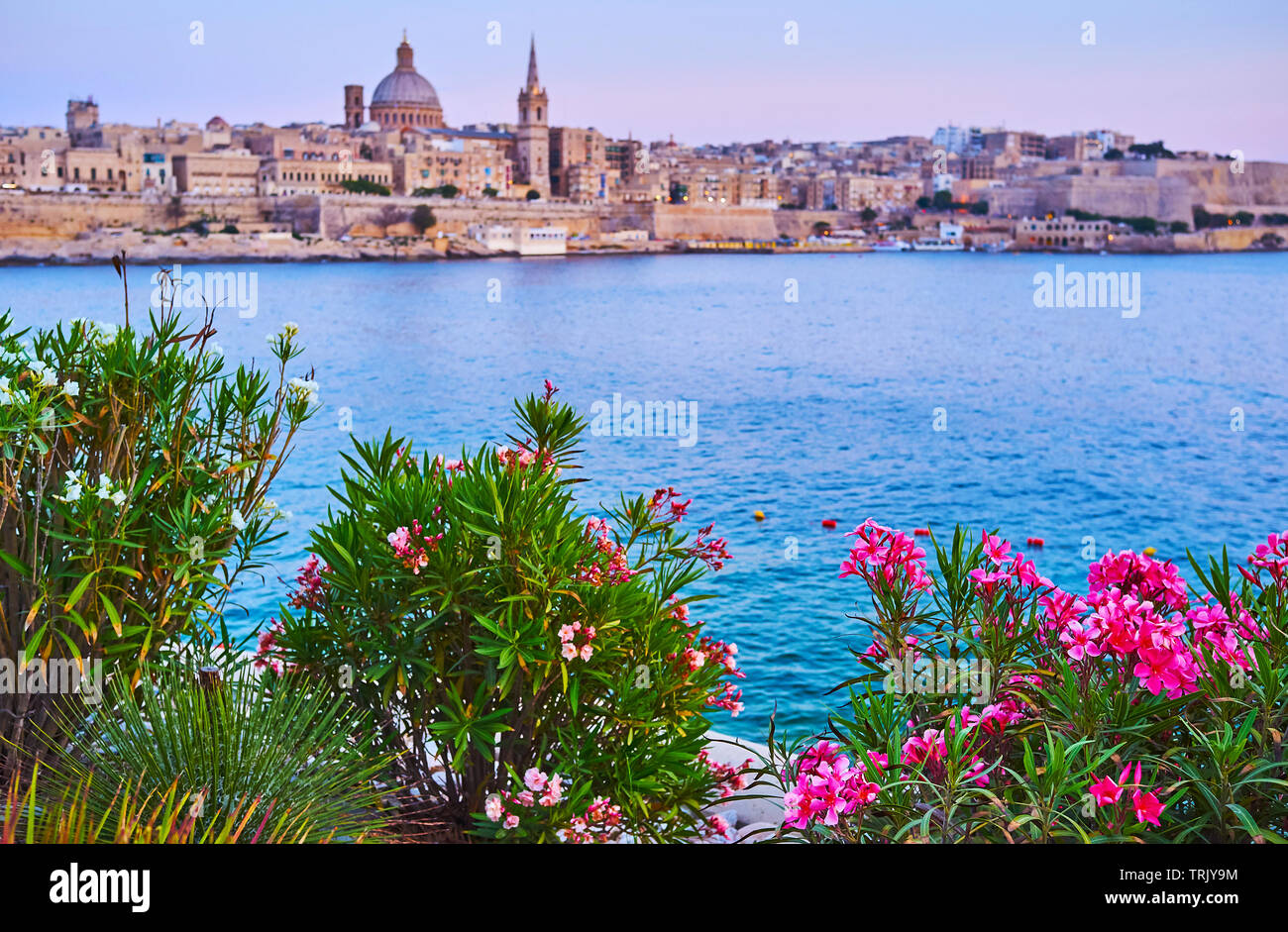Watch Valletta skyline through the lush greenery of garden, located on ...