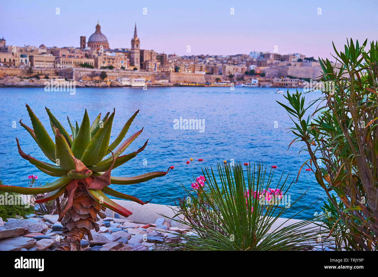 Enjoy the coastal garden on Tigne Point peninsula of Sliema, watch ...