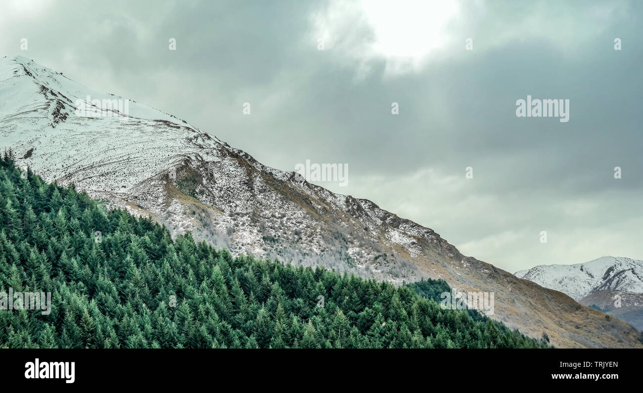Mountain and forest, Queenstown, New Zealand Stock Photo - Alamy