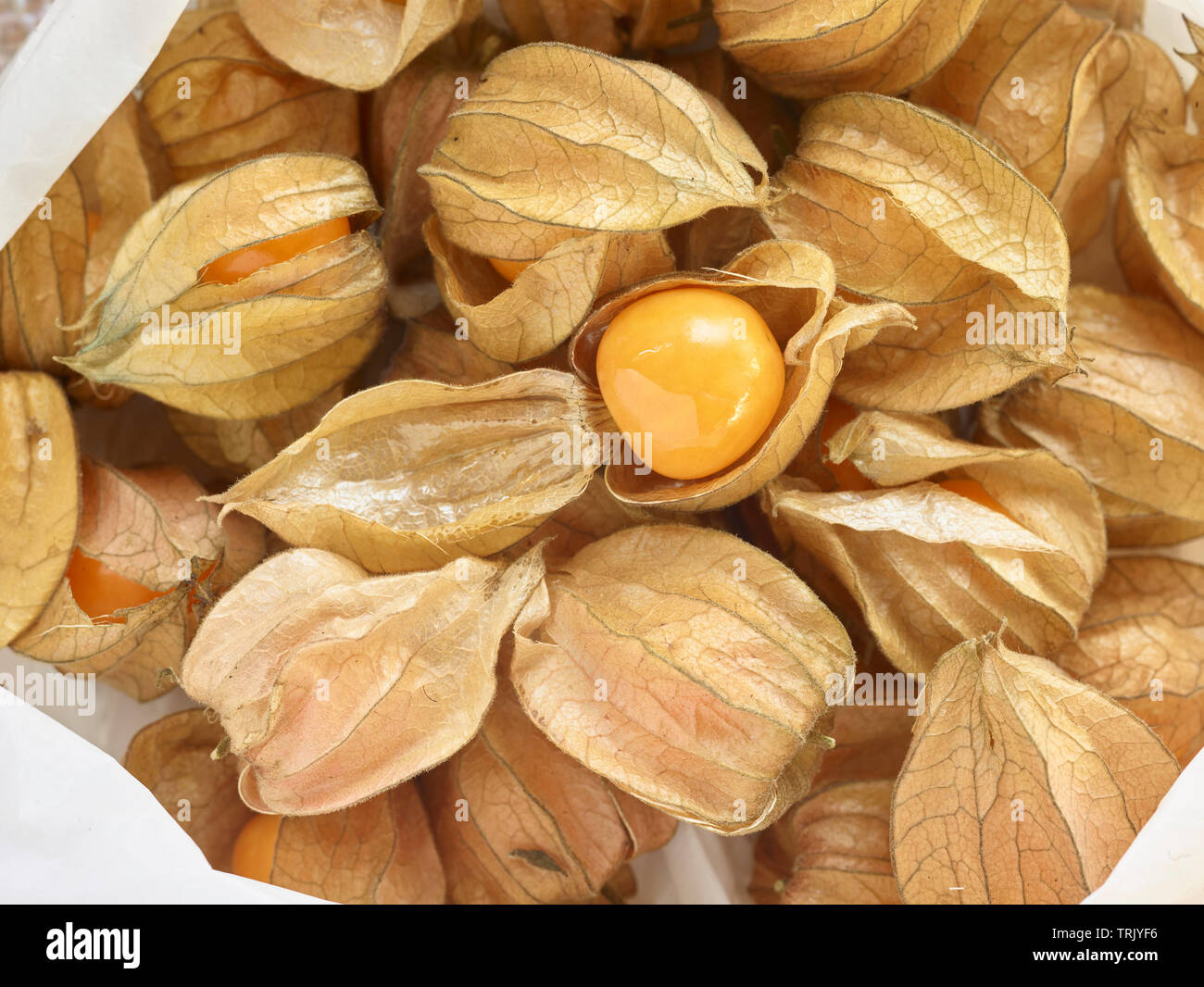 Cape gooseberry fruit in lantern food photograph Stock Photo - Alamy