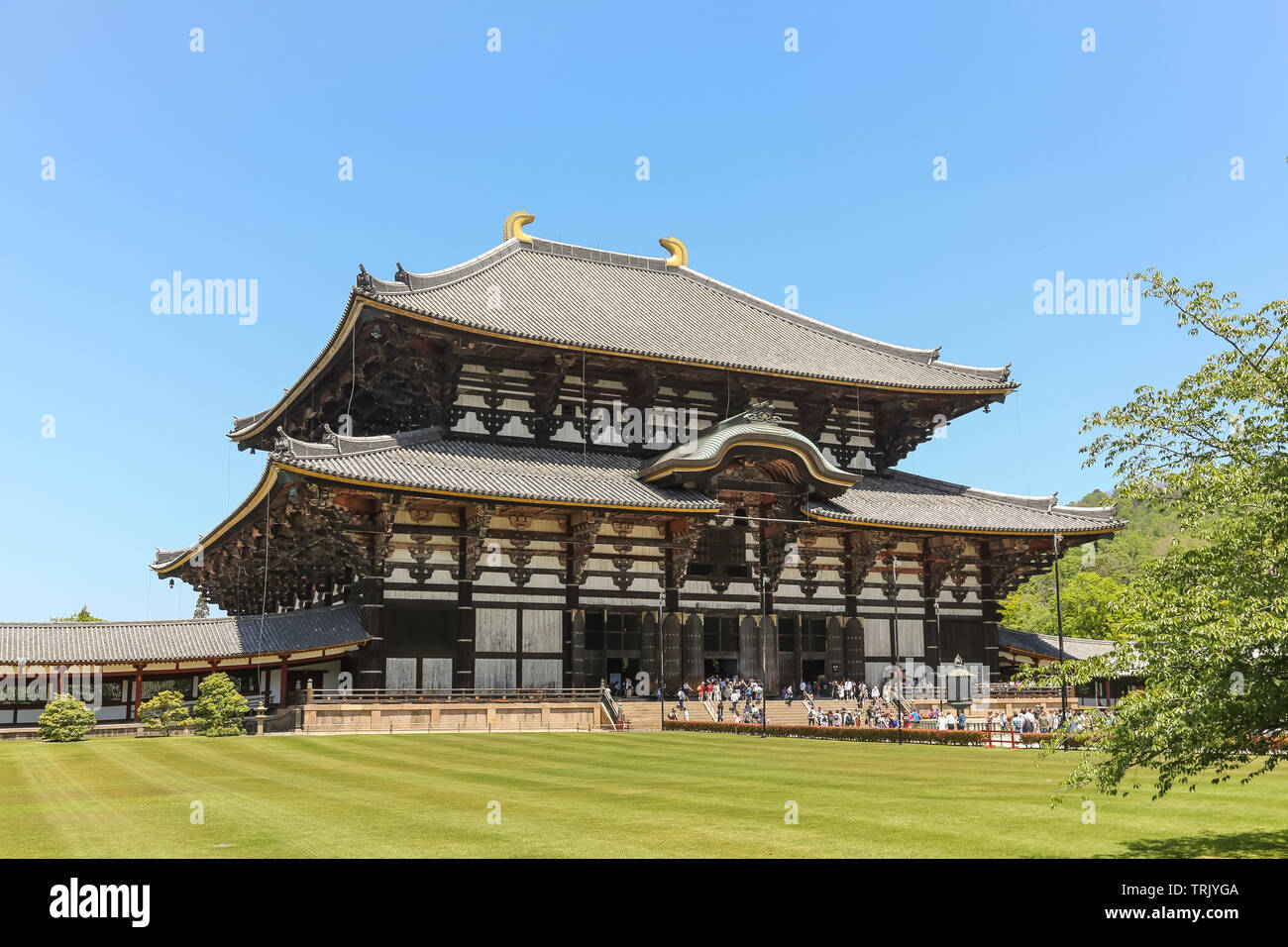 Todai-ji (Great Eastern Temple) is the buddhist temple in Nara, Japan ...