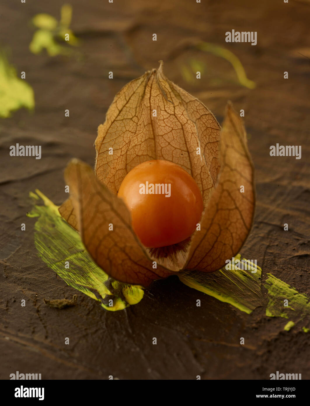 Cape gooseberry fruit in lantern food photograph Stock Photo - Alamy