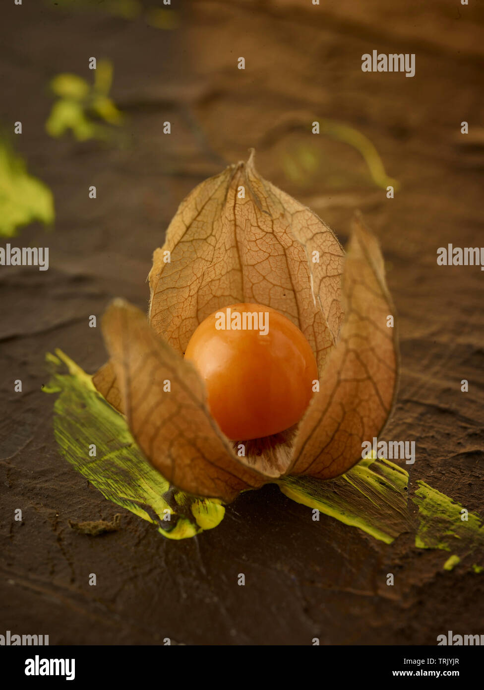 Cape gooseberry fruit in lantern food photograph Stock Photo - Alamy