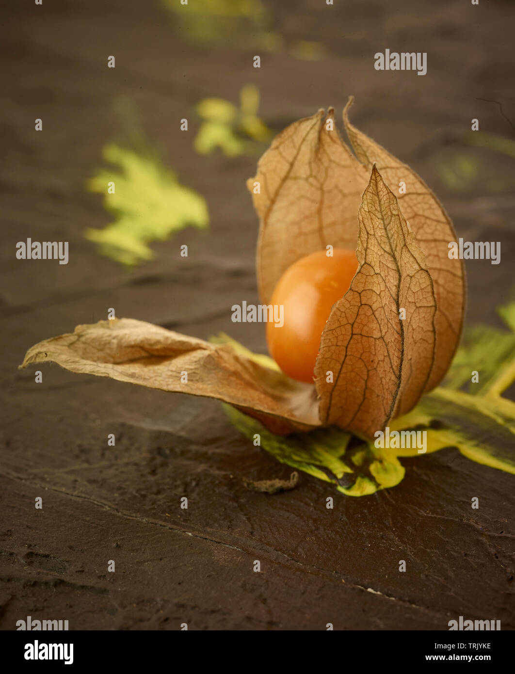 Cape gooseberry fruit in lantern food photograph Stock Photo - Alamy
