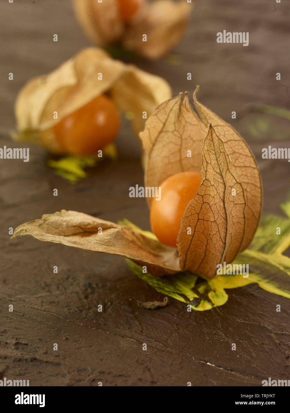 Cape gooseberry fruit in lantern food photograph Stock Photo - Alamy