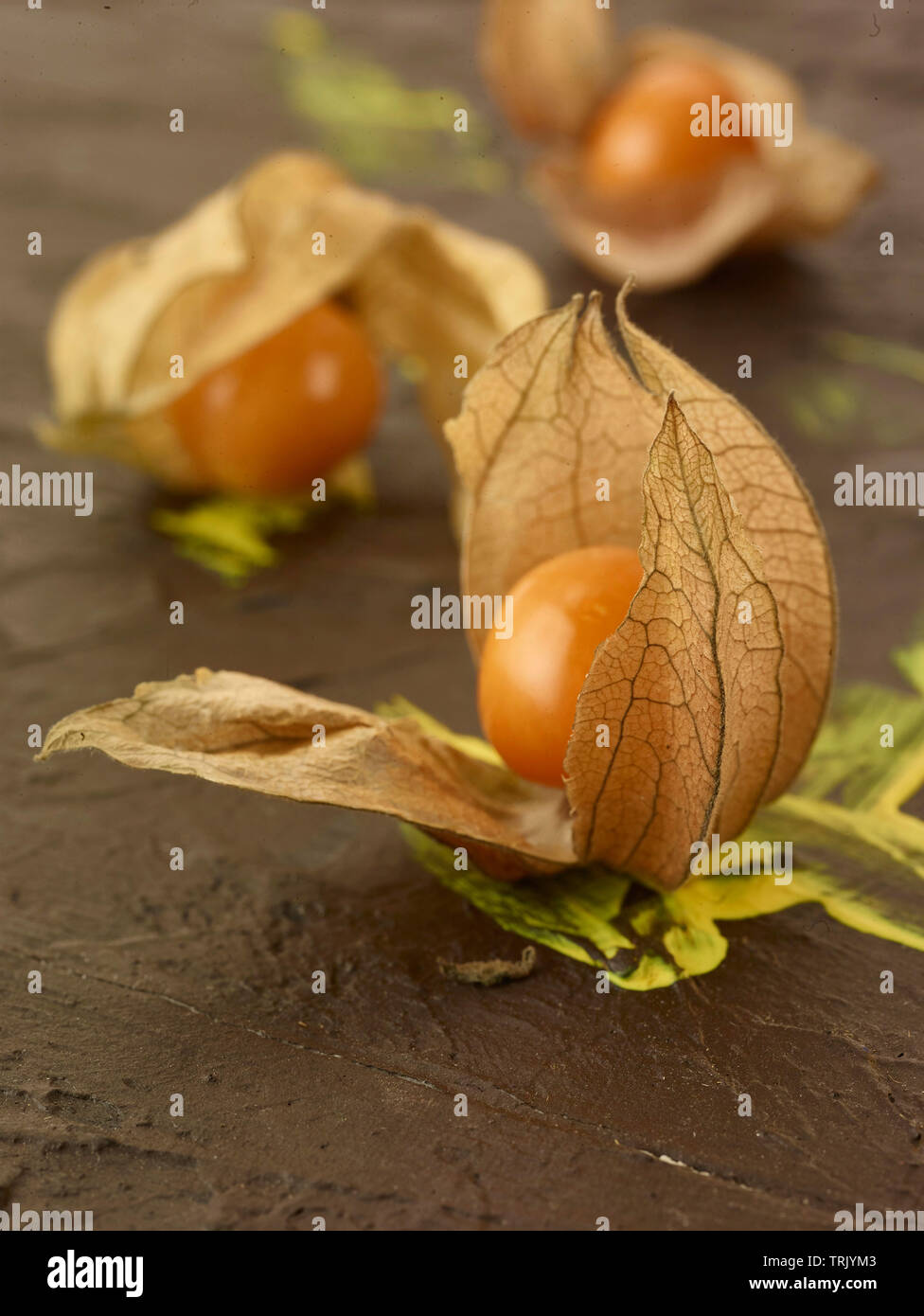 Cape gooseberry fruit in lantern food photograph Stock Photo - Alamy