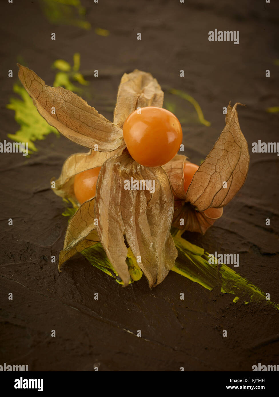 Cape gooseberry fruit in lantern food photograph Stock Photo - Alamy