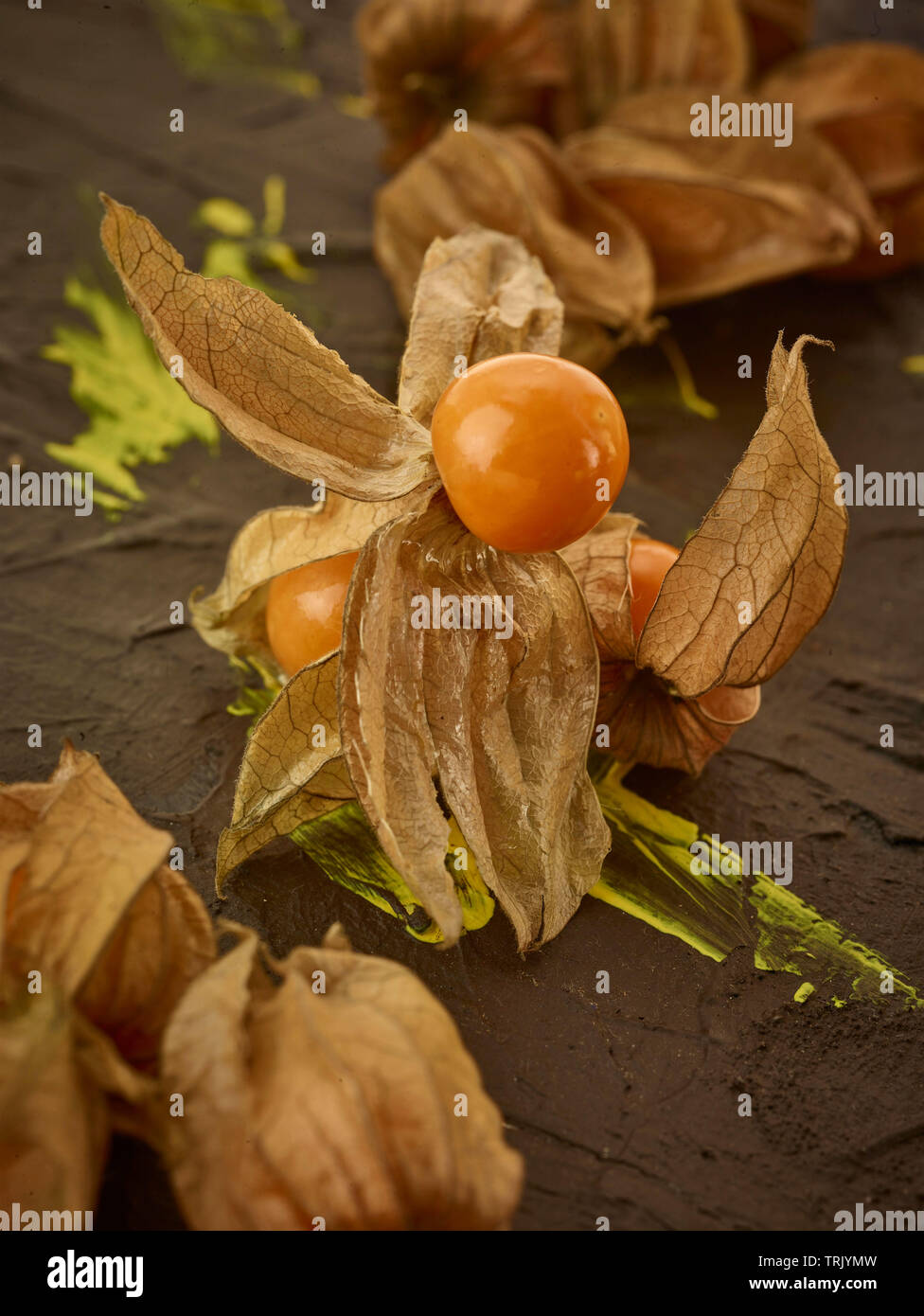 Cape gooseberry fruit in lantern food photograph Stock Photo - Alamy