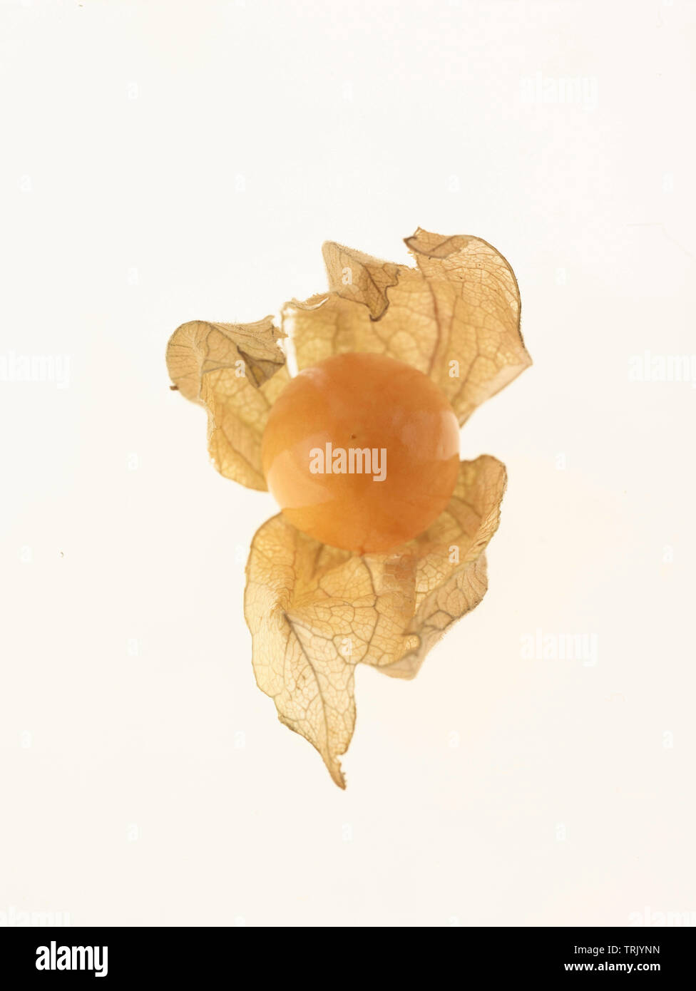 Cape gooseberry fruit in lantern food photograph Stock Photo - Alamy