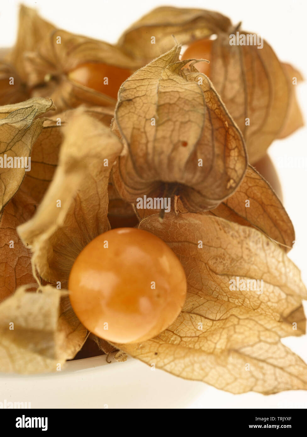 Cape gooseberry fruit in lantern food photograph Stock Photo - Alamy