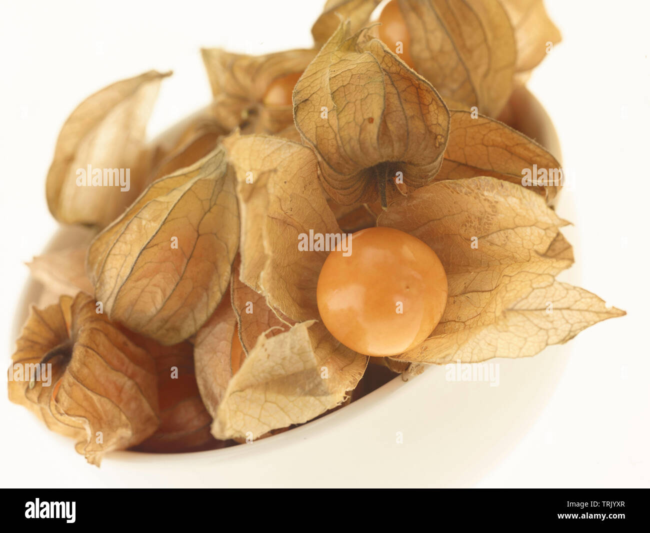 Cape gooseberry fruit in lantern food photograph Stock Photo - Alamy