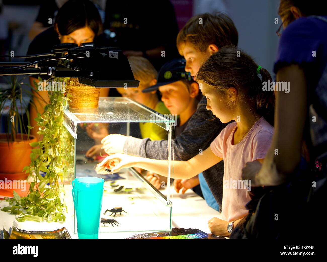 Terarium hi-res stock photography and images - Alamy