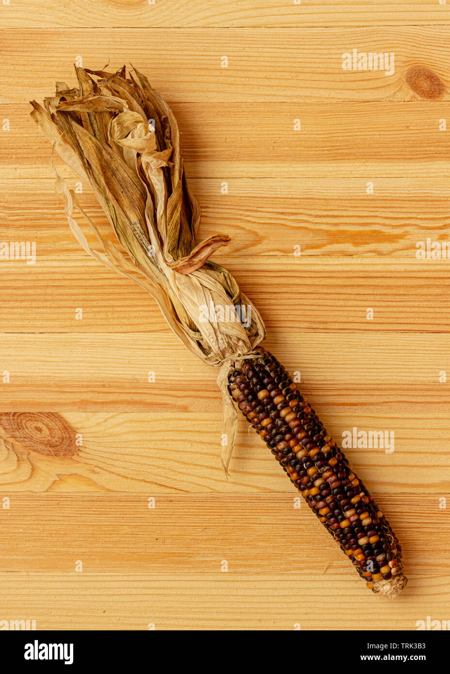 A colorful flint corn lies on a golden pine table top Stock Photo - Alamy