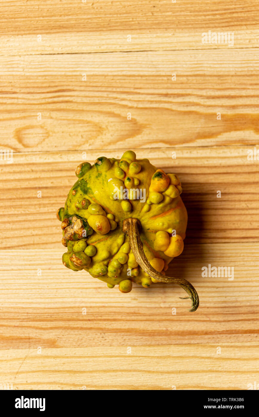A golden, bumpy gourd lies on a pine table top Stock Photo - Alamy