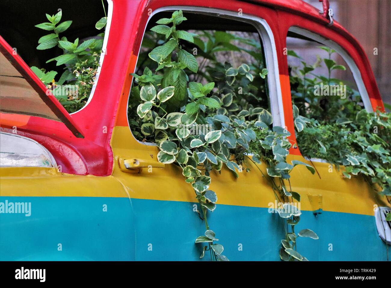 An old Italian Fiat 500 car painted in rainbow colors, submerged in ...