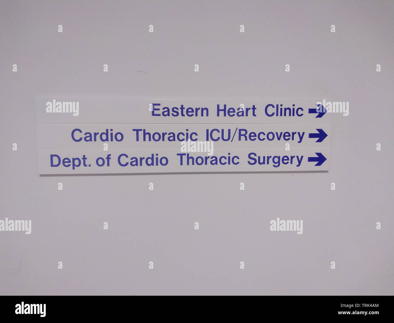 Thoracic hi-res stock photography and images - Alamy