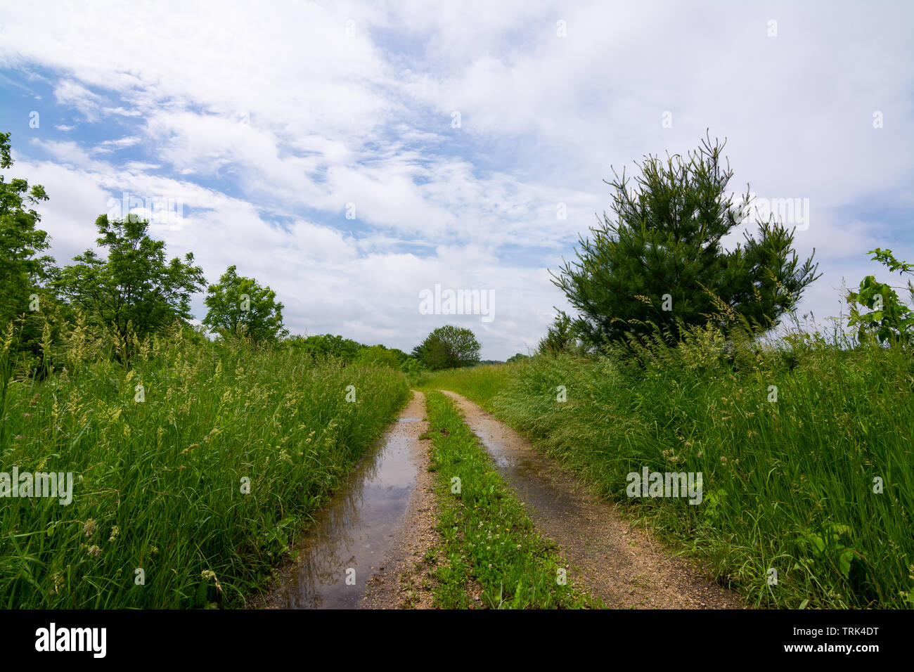 Serena illinois hi-res stock photography and images - Alamy
