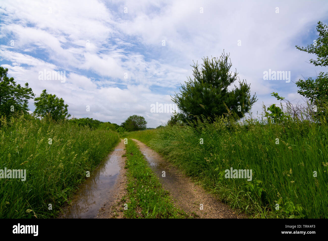 Dirt road through the Midwest countryside. Serena, Illinois, USA Stock ...