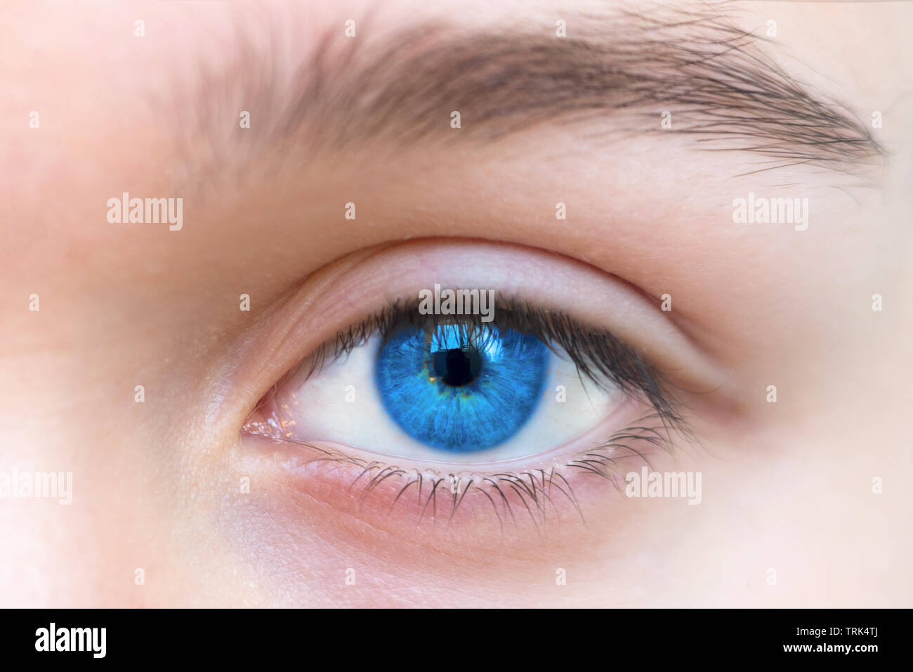 Human wide open blue eye hi-res stock photography and images - Alamy
