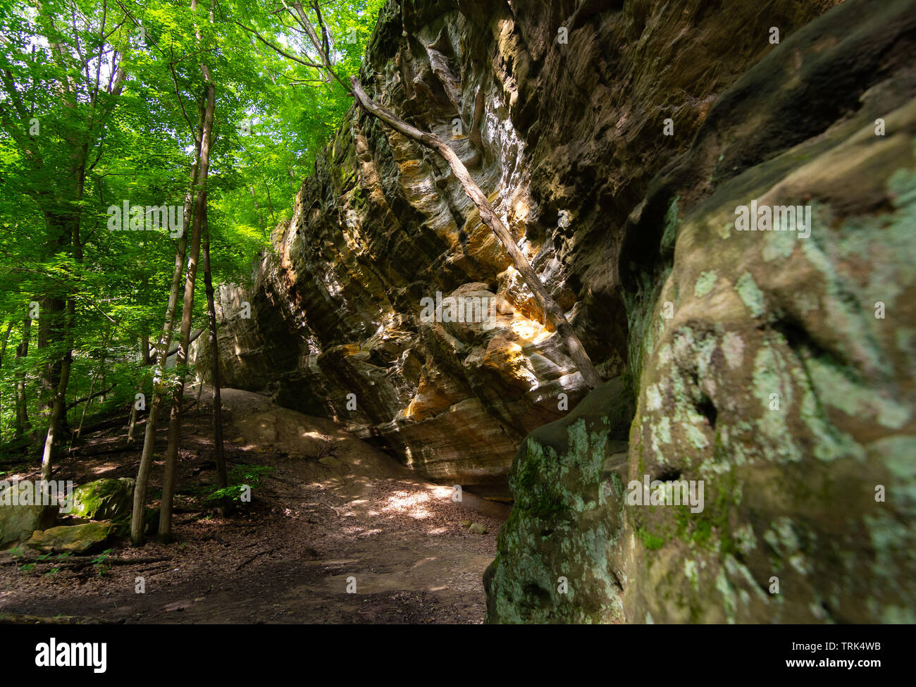 Sunlight coming through the trees lighting the canyon walls. Starved ...