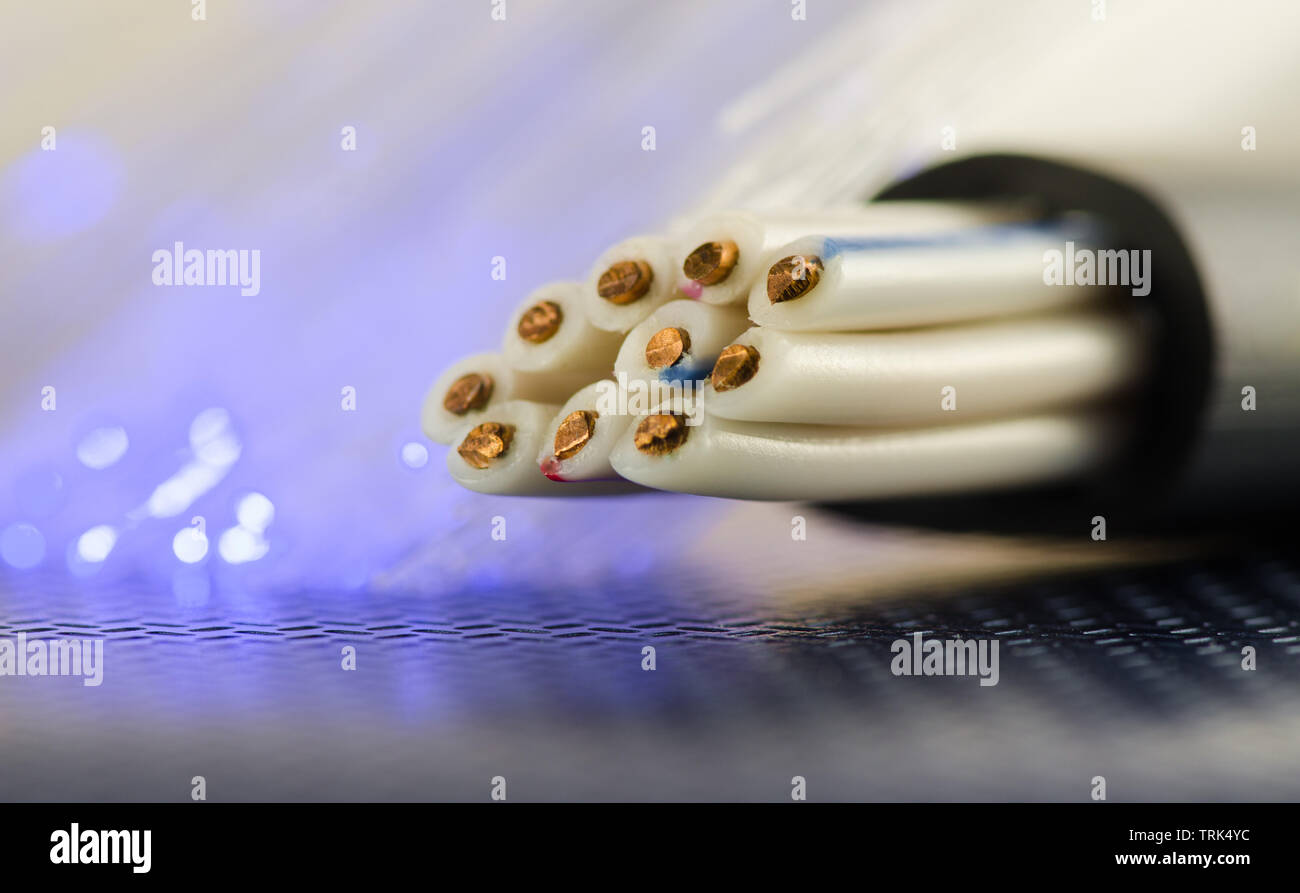The cross section of the control cable, next to the garland is blue ...