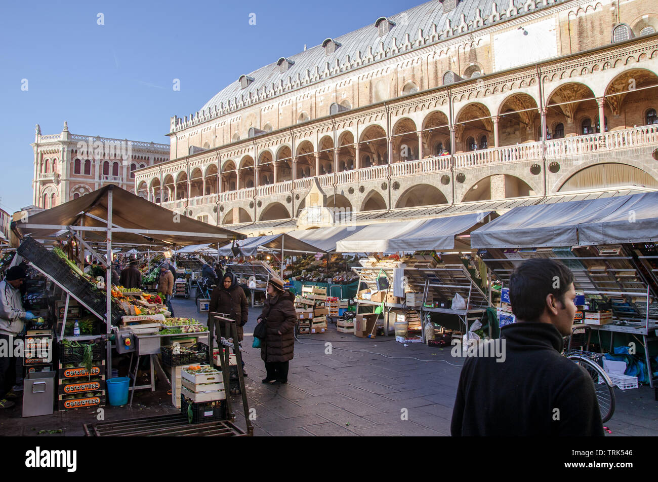 view of the traditional fruit market at "delle erbe" square, in front ...