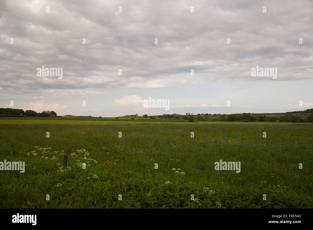 Fields in europe hi-res stock photography and images - Alamy