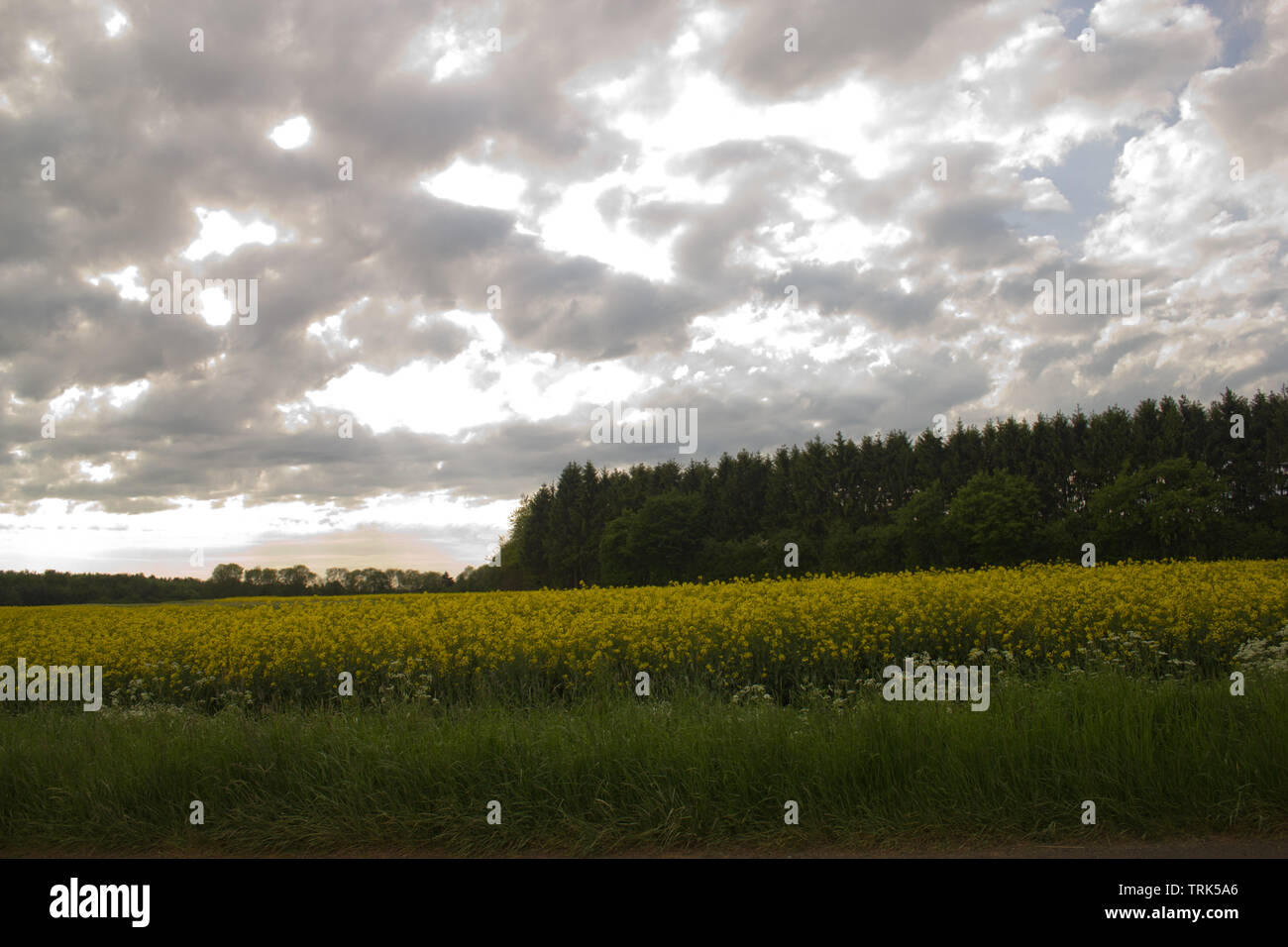 Fields in Europe Stock Photo - Alamy