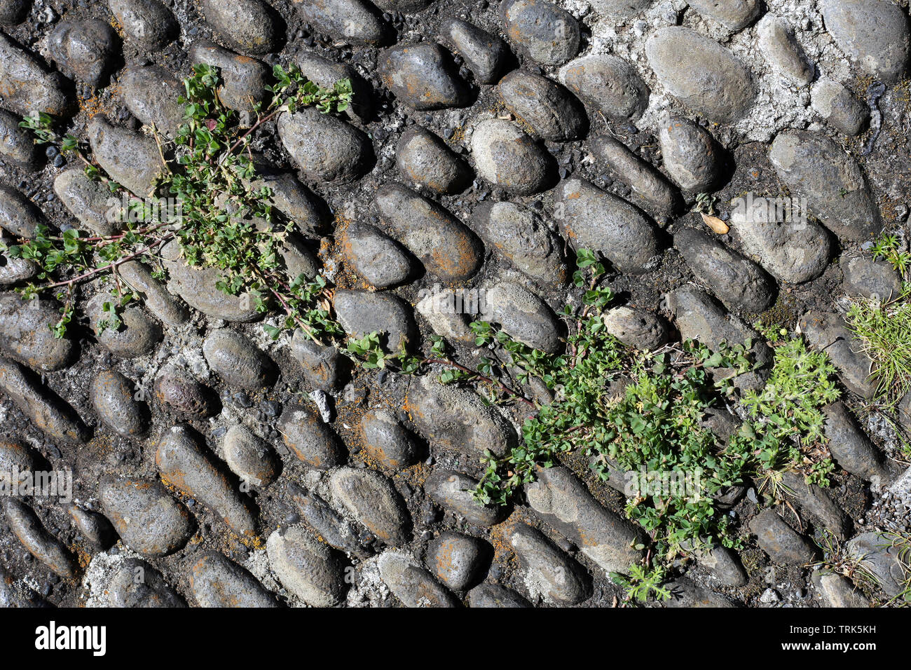 Lovely texture of an outdoor floor made of asymmetric rocks / tiles. In ...