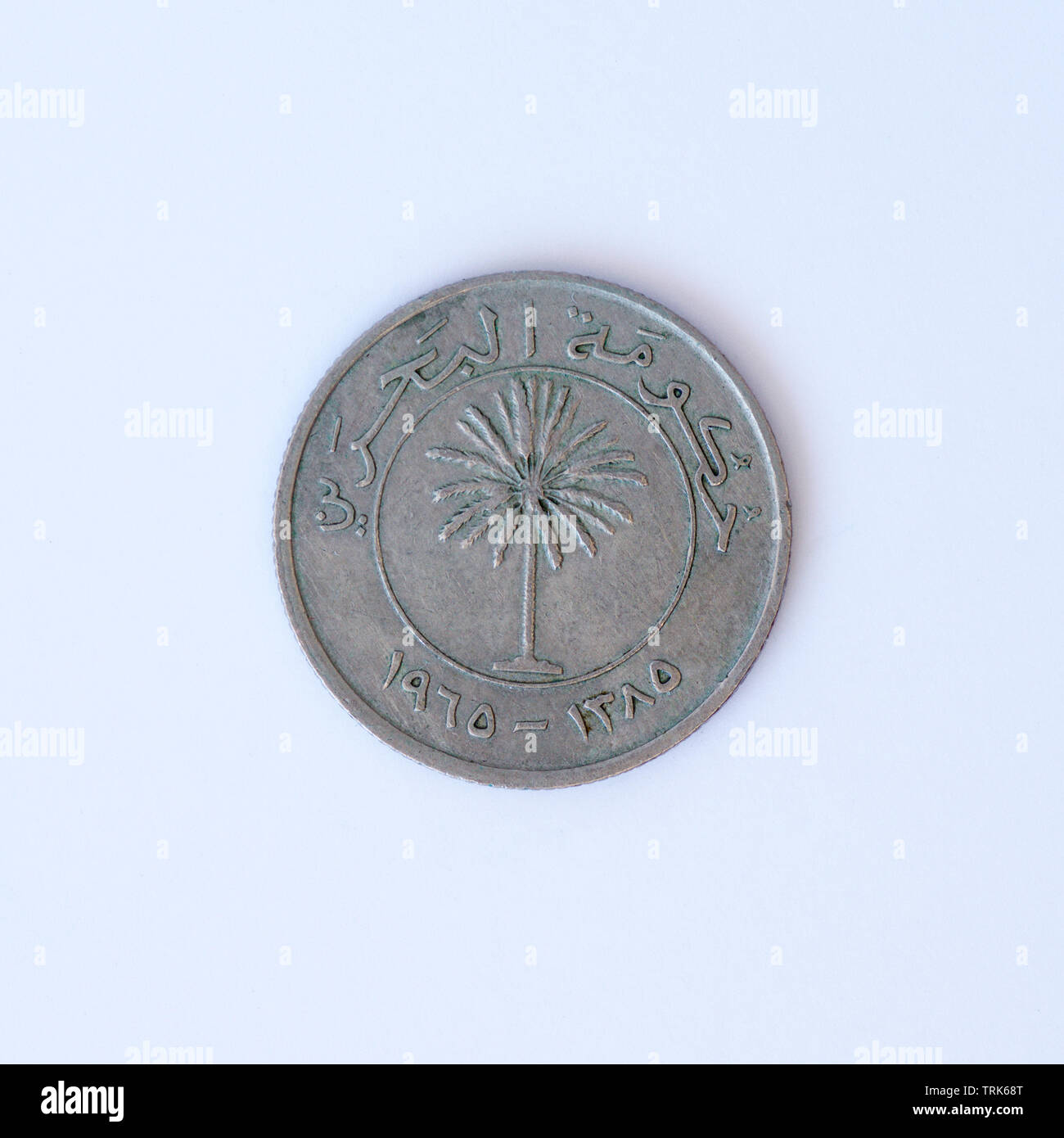 Bahrain date palm hi-res stock photography and images - Alamy