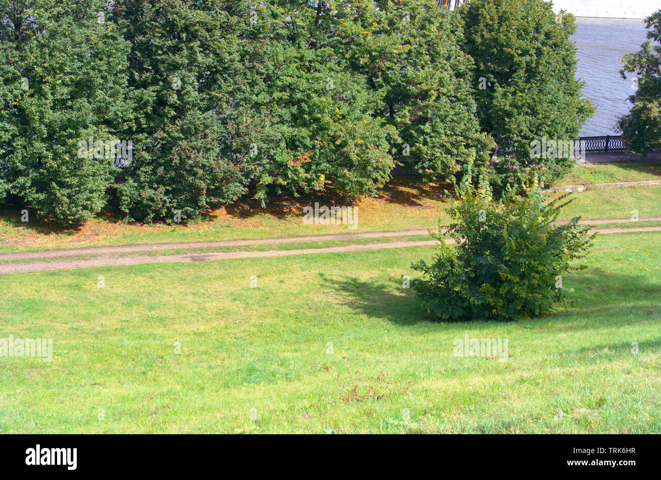 path in park Stock Photo - Alamy