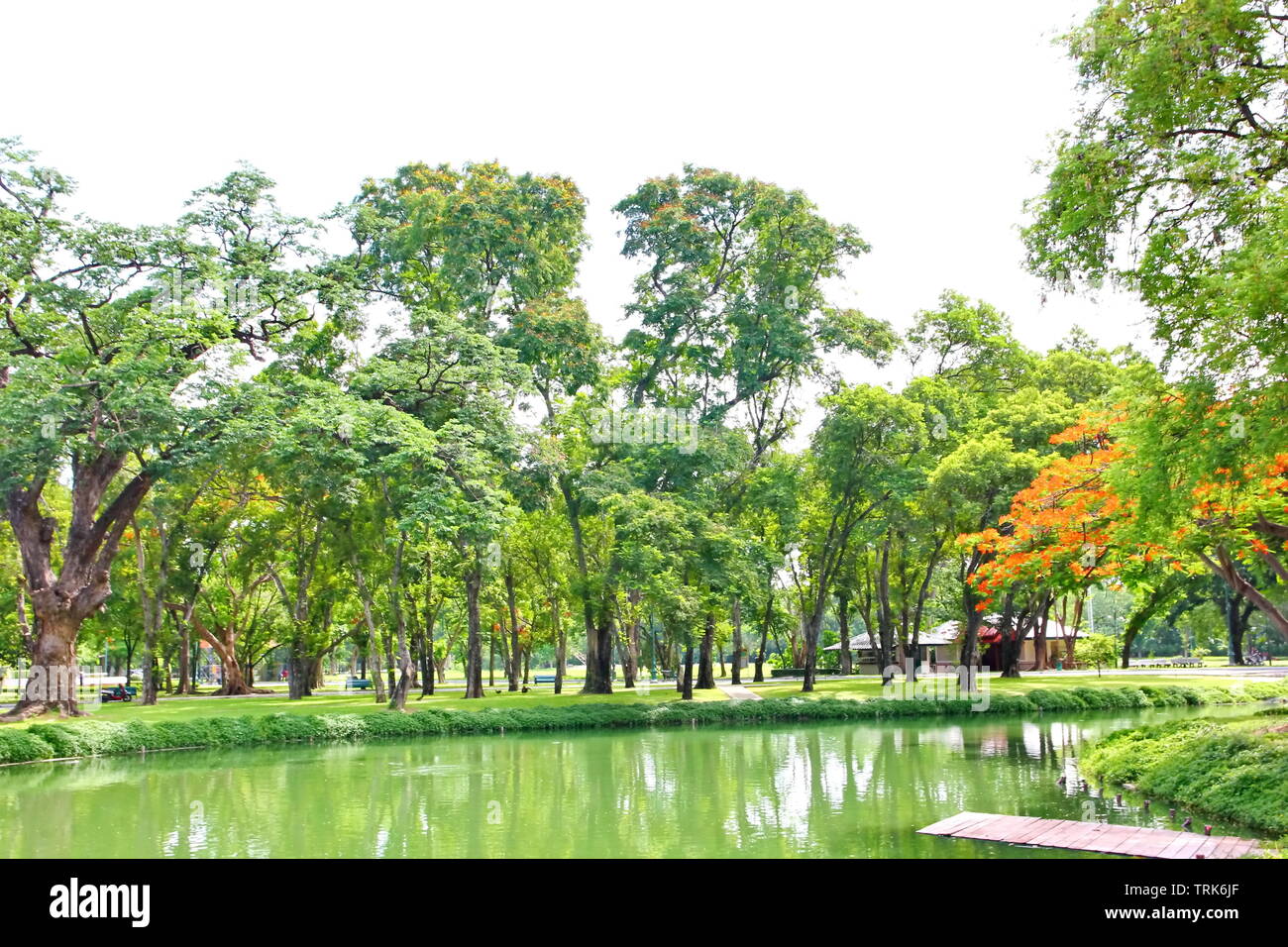 fresh air in park.green area create a good environment in the city for ...