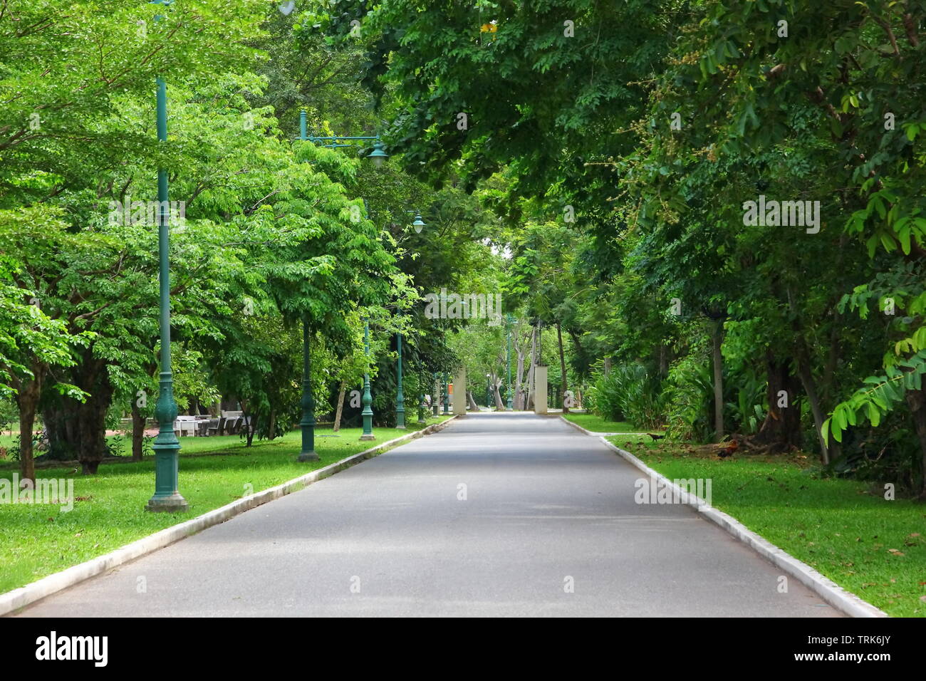 Park green area hi-res stock photography and images - Alamy