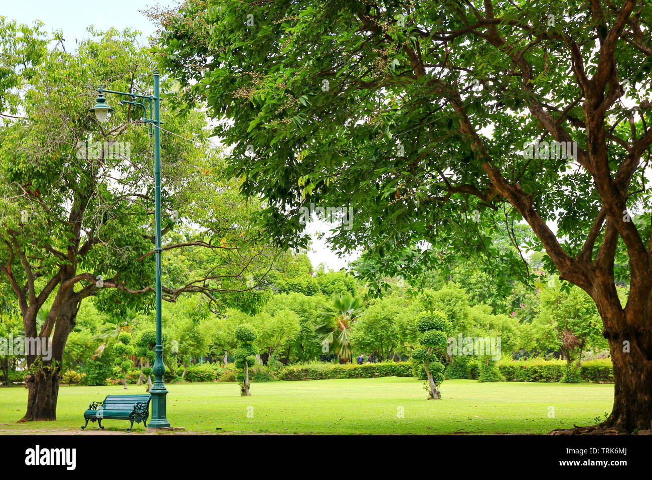 the green bench in nature Stock Photo - Alamy