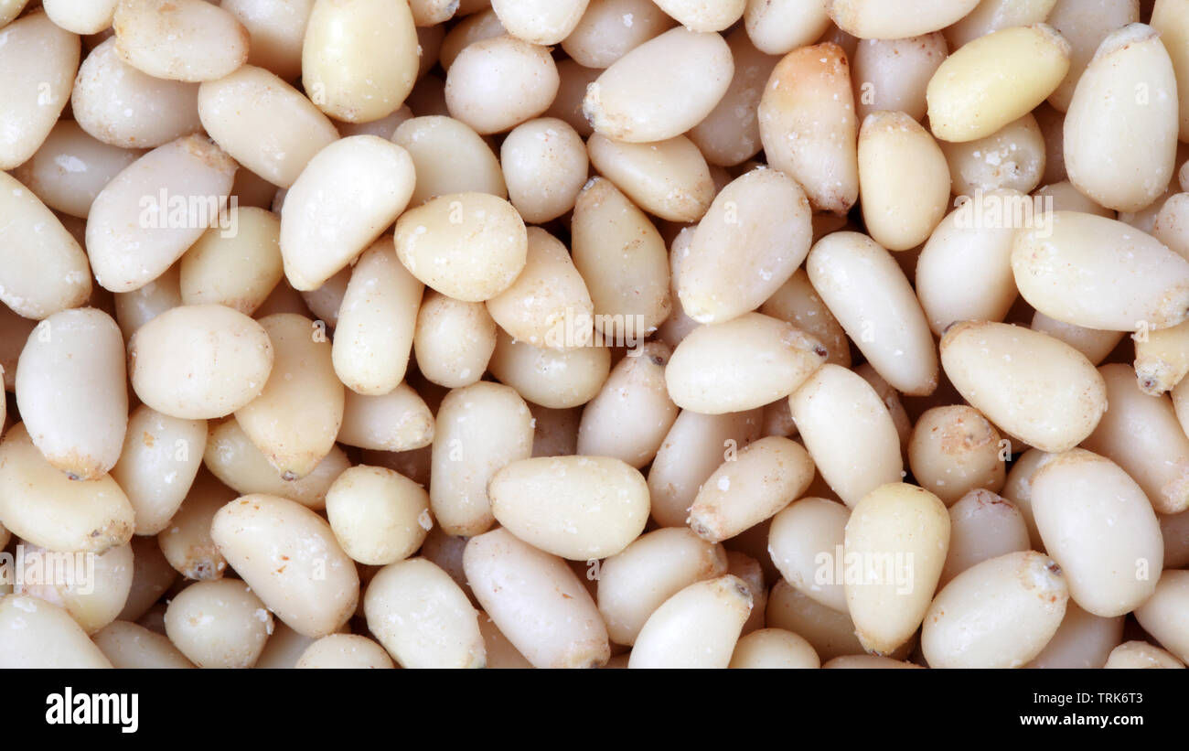 many cedar nut at day Stock Photo - Alamy
