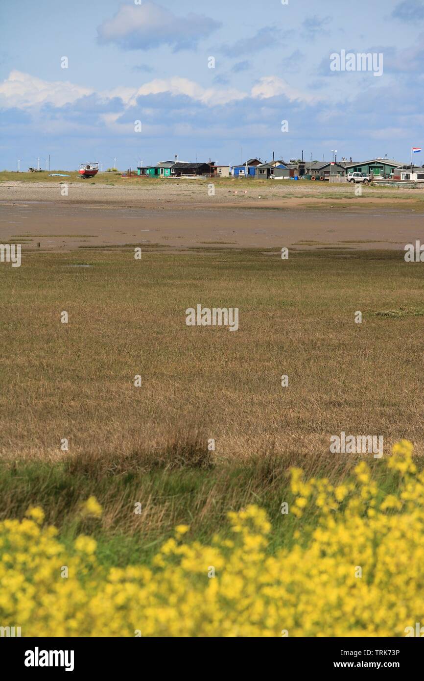 UK Sandscale Haws National Nature Reserve, Barrow-In-Furness, Cumbria ...