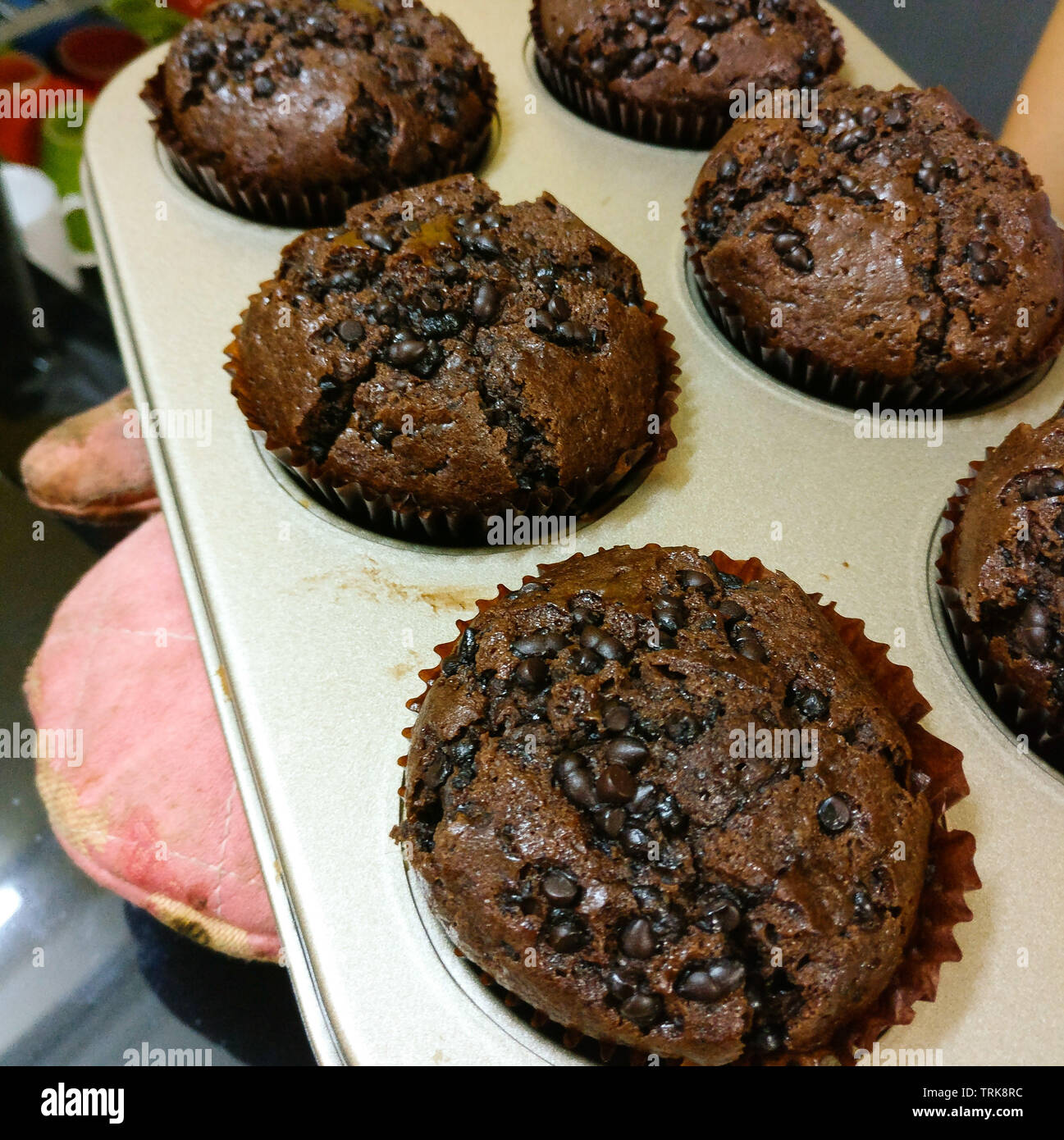 Baking chocolate muffins hi-res stock photography and images - Alamy