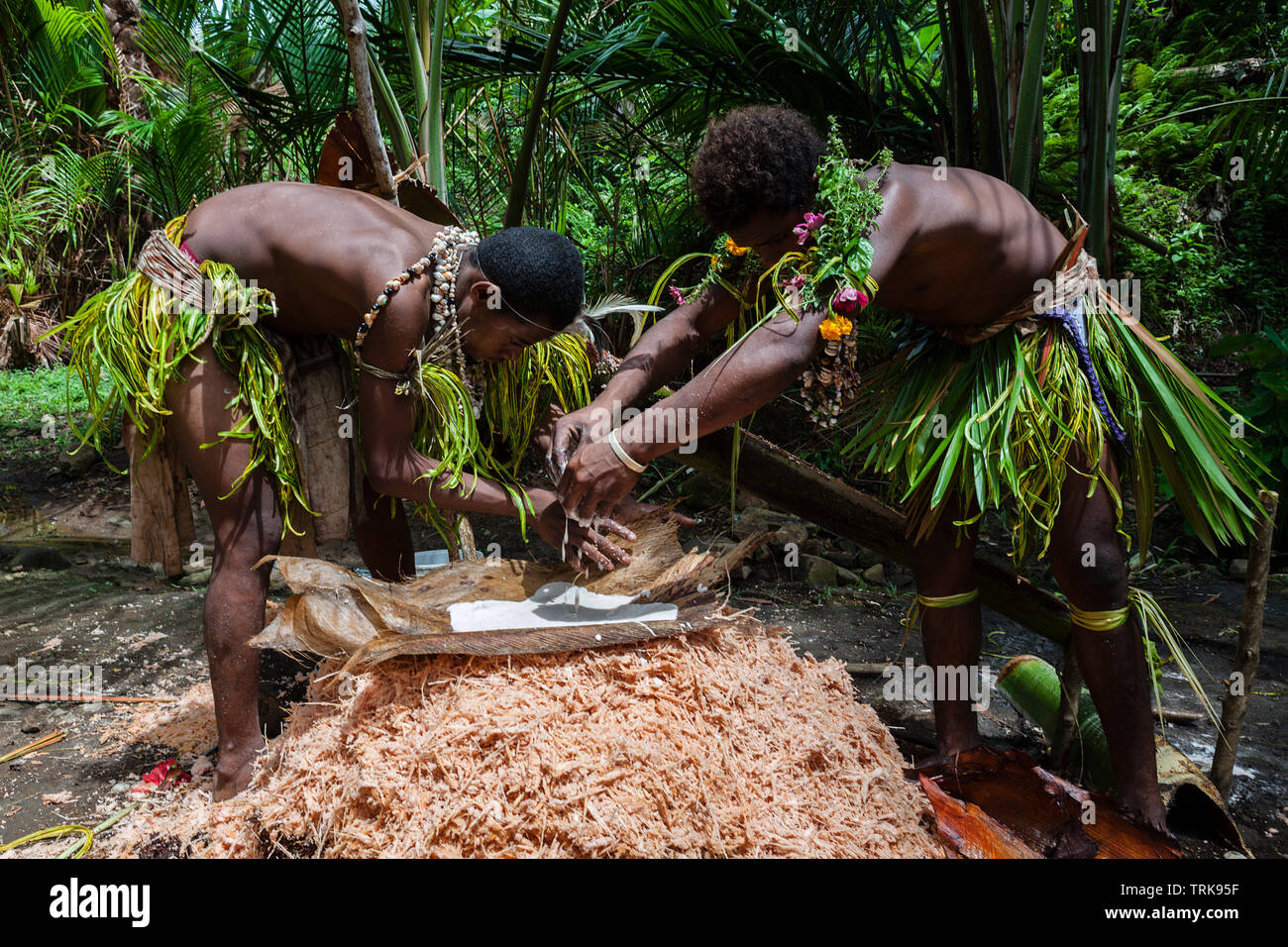 Sago papua new guinea hi-res stock photography and images - Alamy