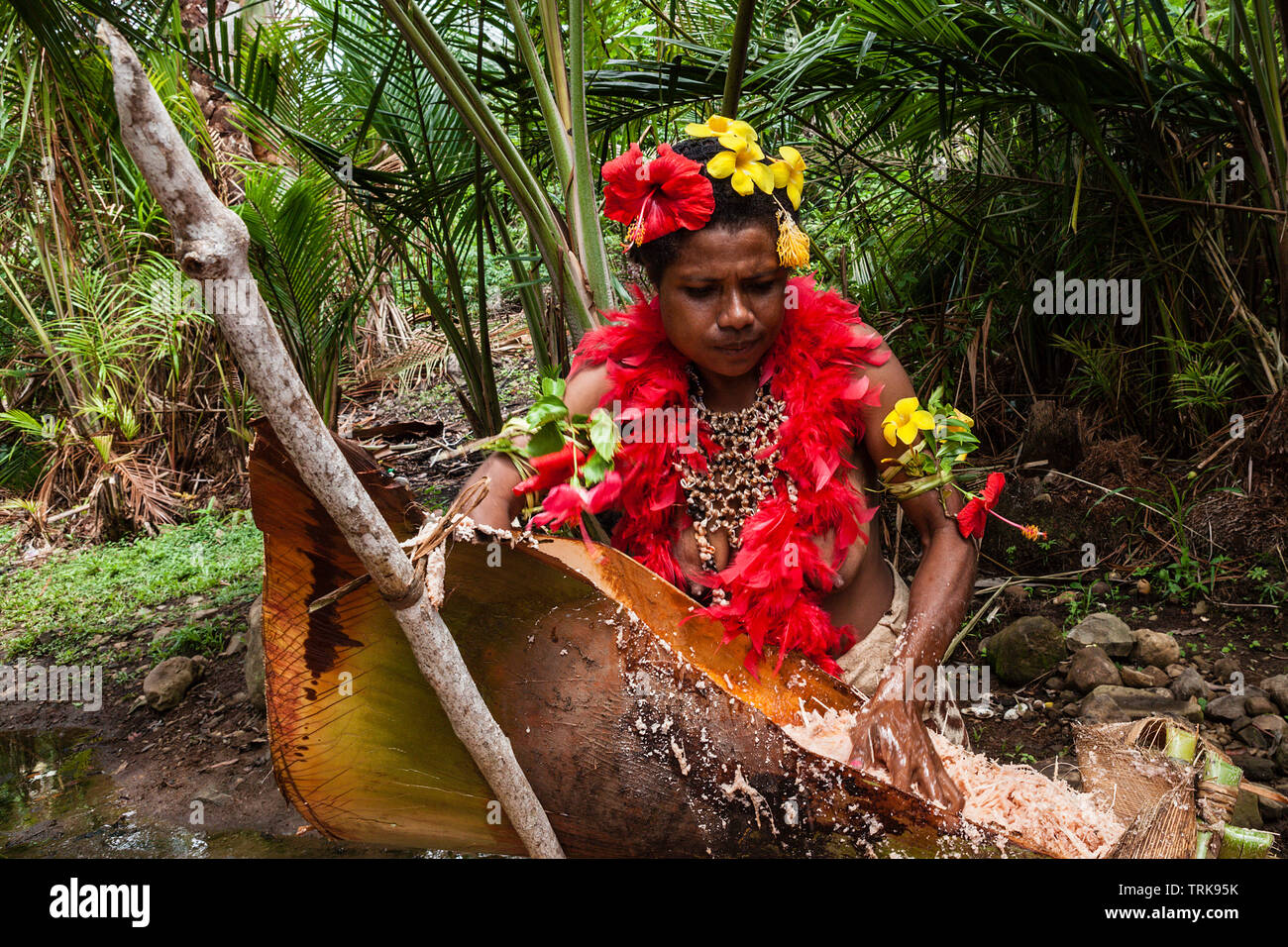 Sago papua new guinea hi-res stock photography and images - Alamy