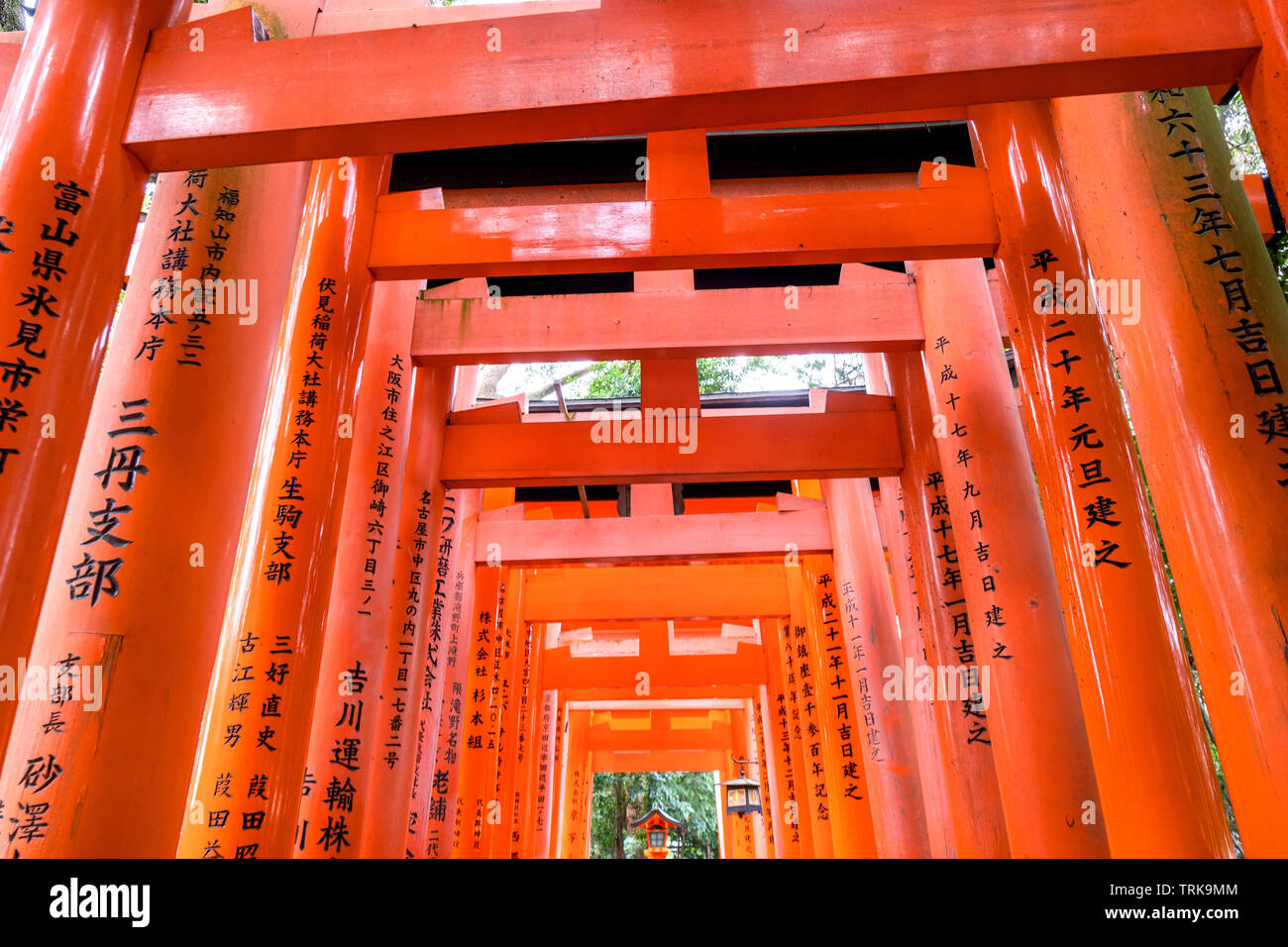Kyoto, Japan - March. 22, 2019: Awesome and beautiful Senbon Torii in ...