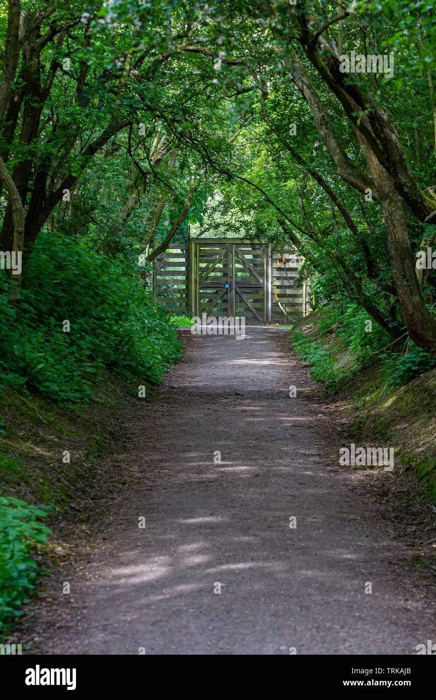Pathway through Slimbridge Stock Photo - Alamy