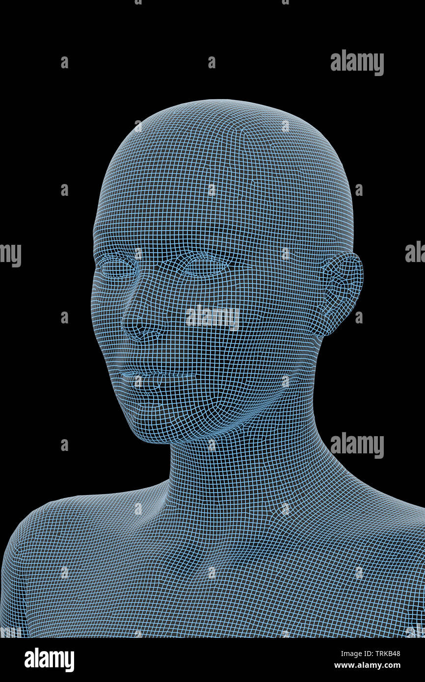 Woman's head. 3D Rendering image of female human body. Wireframe model ...